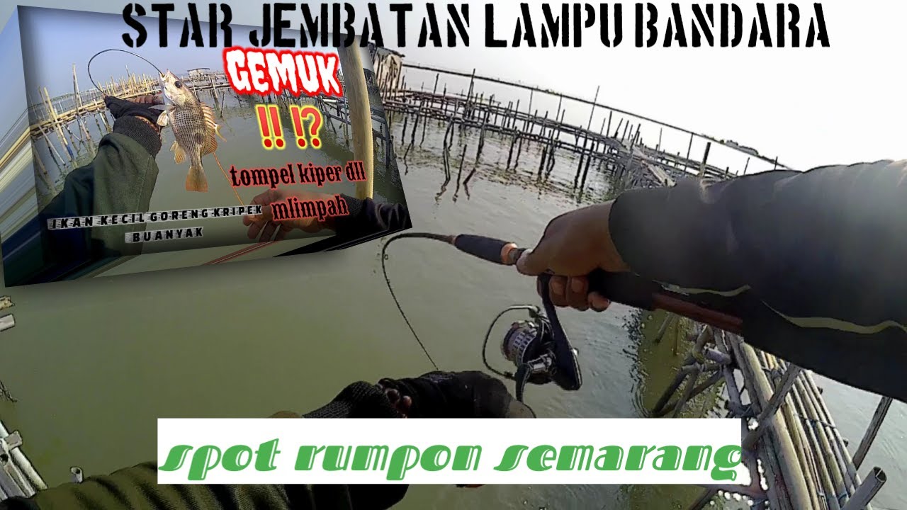 MANCING IKAN TOMPEL MUARA||rumpon Semarang‼️panen ikan - YouTube
