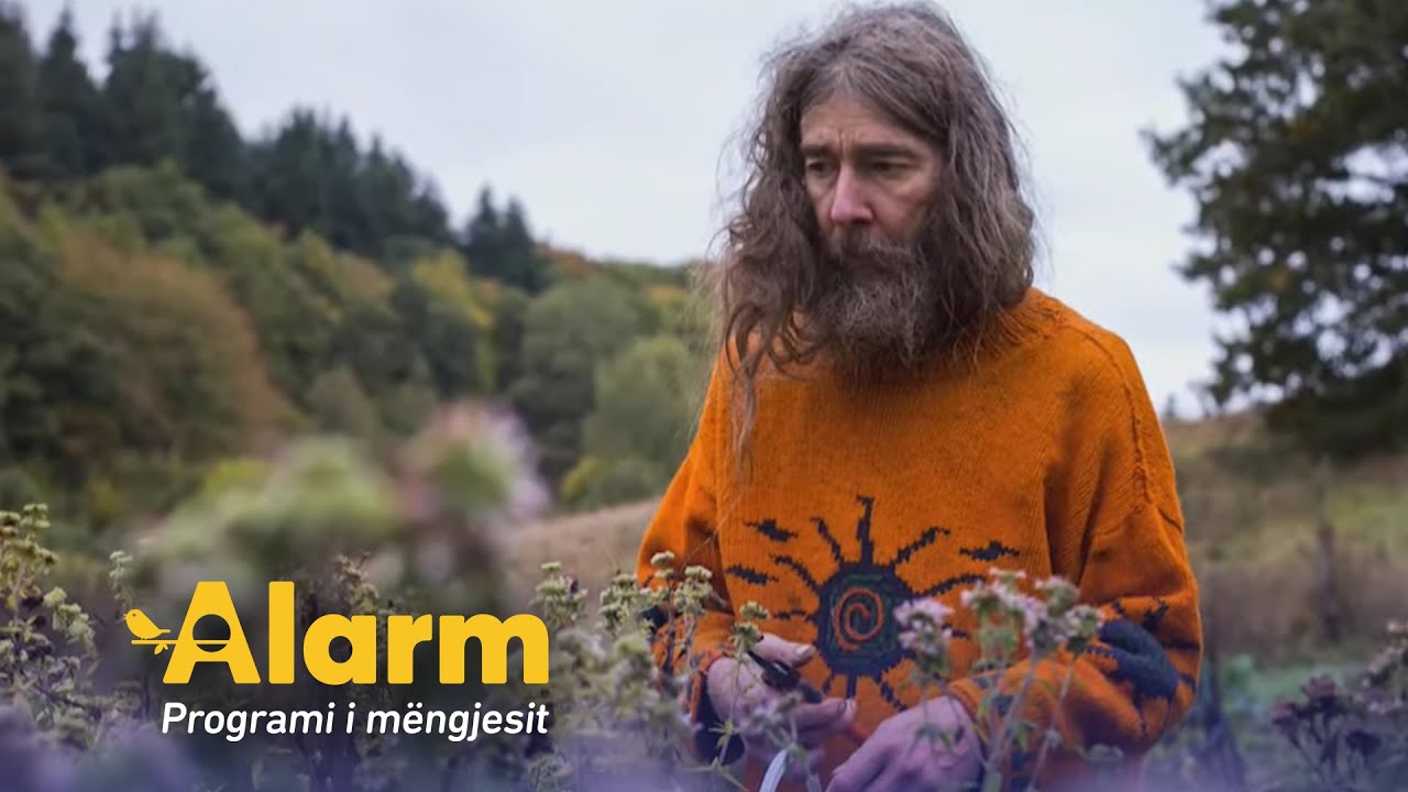 Gjermani që jeton në pyll - YouTube