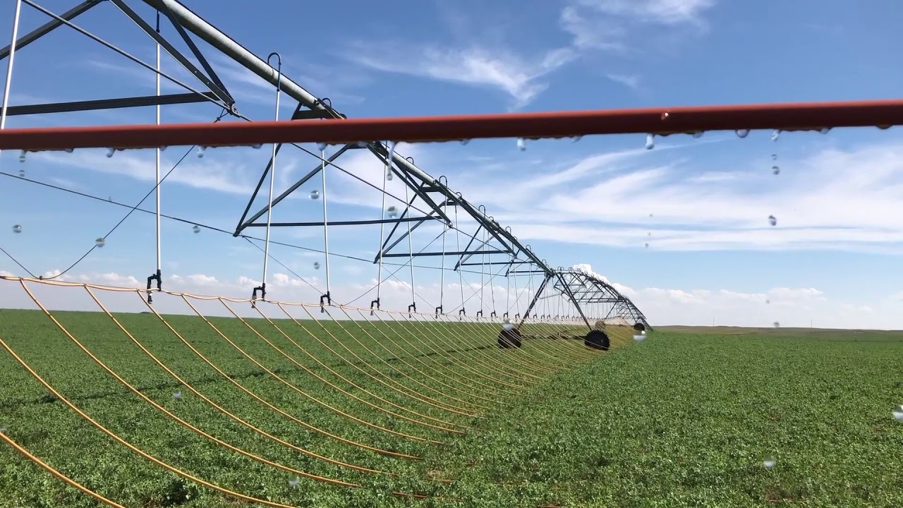 Dragon line irrigation - YouTube