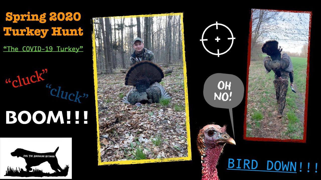 Pennsylvania Spring Turkey Hunt 2020 (BIRD DOWN!!) - YouTube