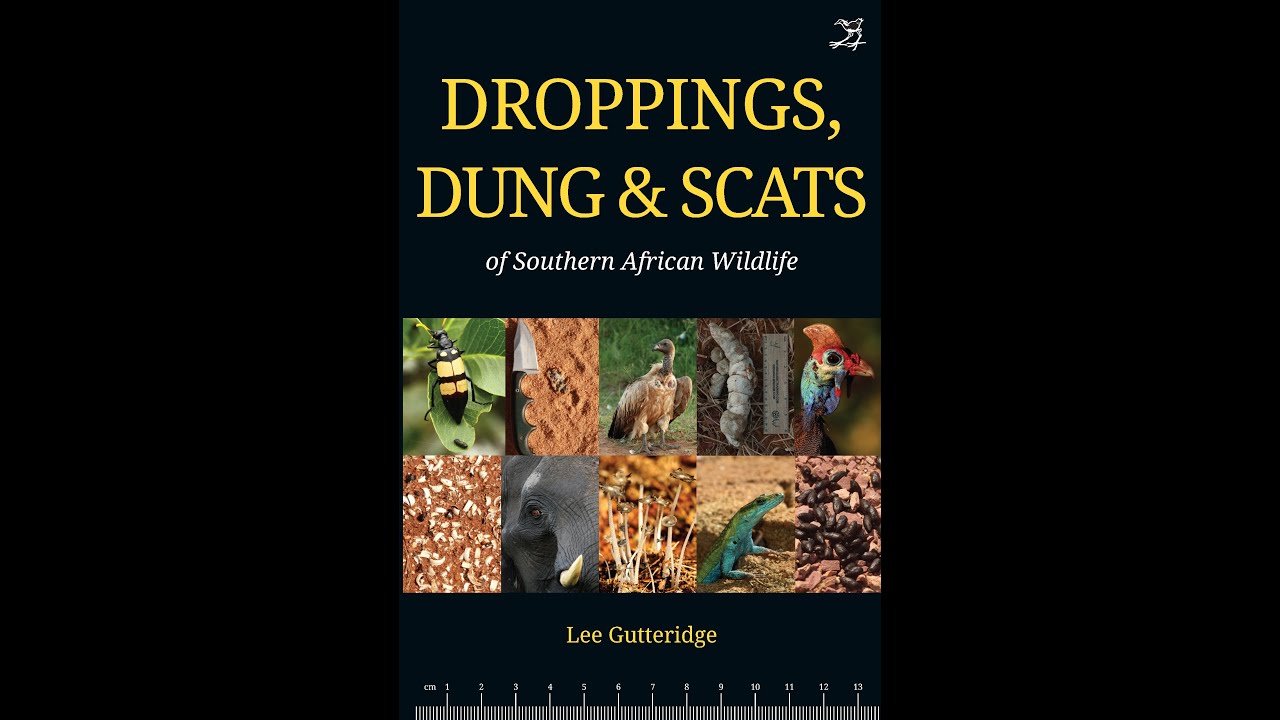 In conversation with guide, tracker and author extraordinaire, Lee ...