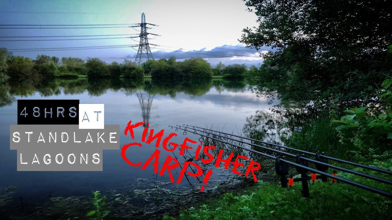 48hrs At Standlake Lagoons || Kingfisher Carp || Martyns Angling ...