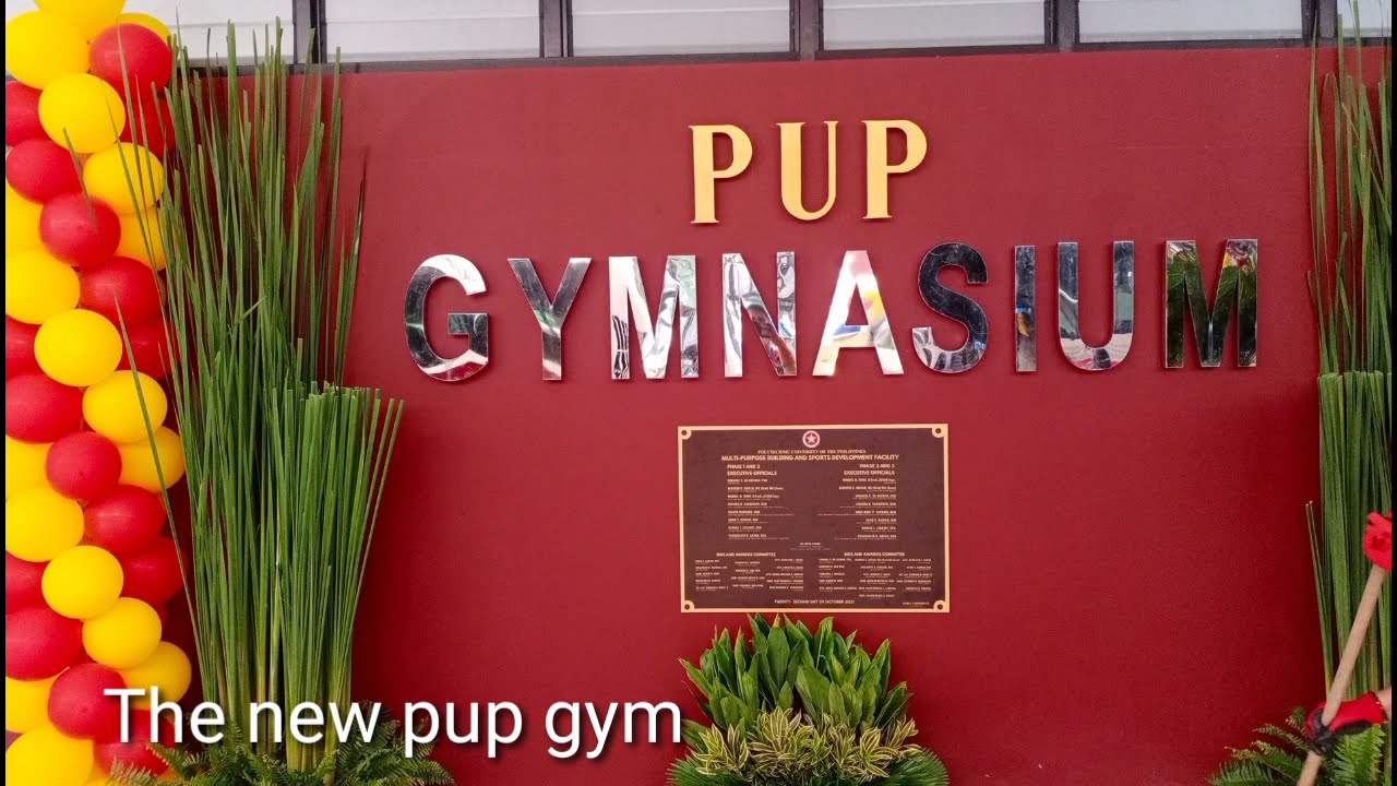 The new pup gymnasium#gym #gymnasium - YouTube