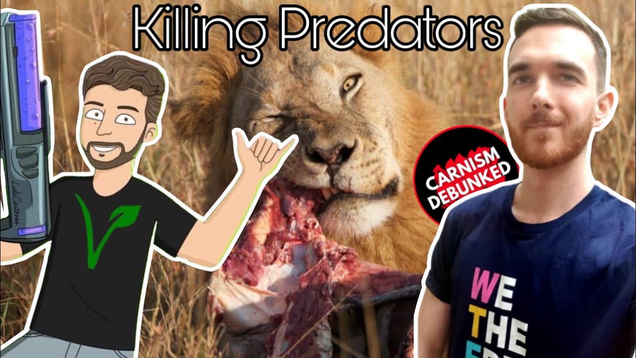 Asking @CarnismDebunked About His View On Killing Predators - YouTube
