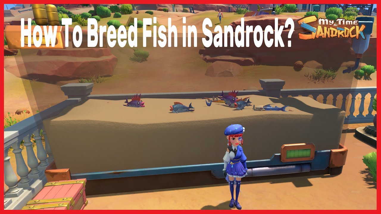 Breeding Fish In MY TIME AT SANDROCK - YouTube