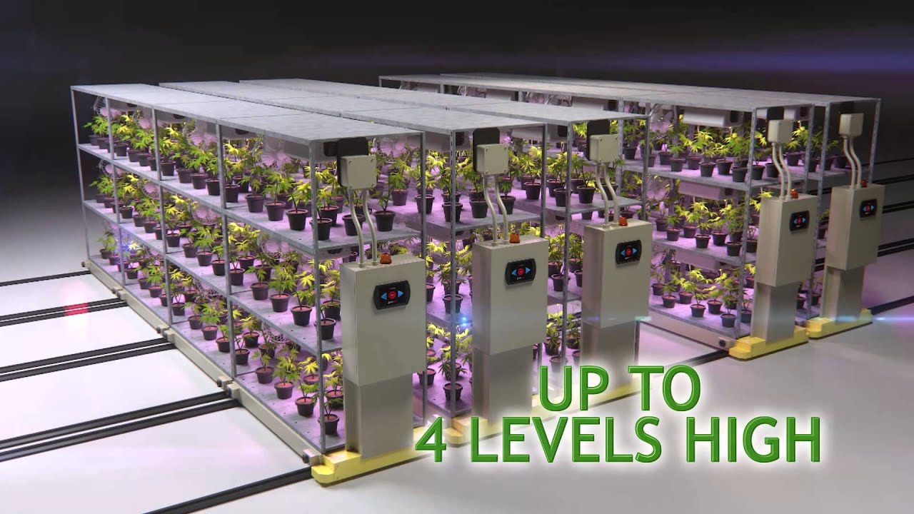 High Density Cultivation System - YouTube