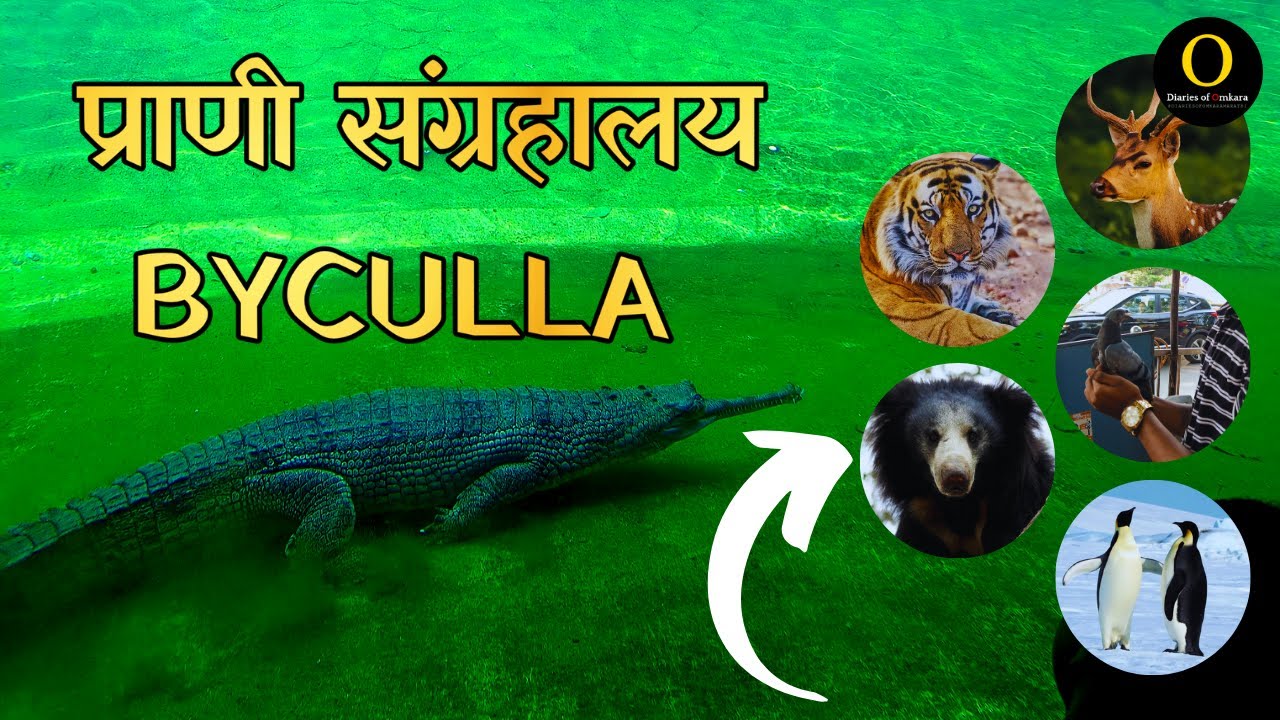 Explore 12+ Stunning Animal Species at Byculla Rani Baug - YouTube