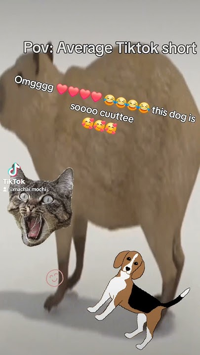 Pov: Average YouTube/tiktok short - YouTube