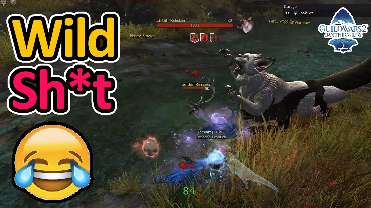 Npcs go wild in Guild Wars 2 - YouTube