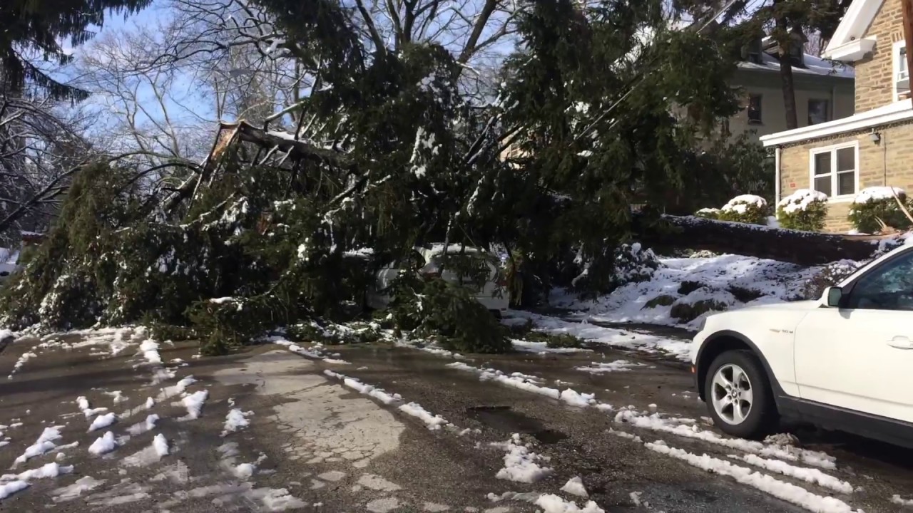Mt Airy, Philly | Winter Storm Riley - YouTube