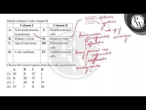 Match column I with column II: \begin{tabular}{|l|l|c|l|} \hline & \multicolumn{1}{|c|}{ Column ...