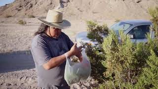 Creosote Bush Tea