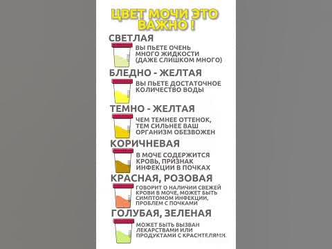 Цвет мочи-это важно #полезныесоветы - YouTube