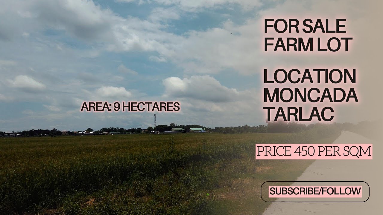 (V351) 9 HECTARES FARM LOT, PRICE 450 PER SQM, LOCATION MONCADA TARLAC ...