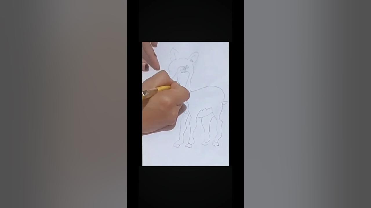 رسم غزاله سهل اوى .. رسم بالرصاص 🫶🏻🦌 - YouTube