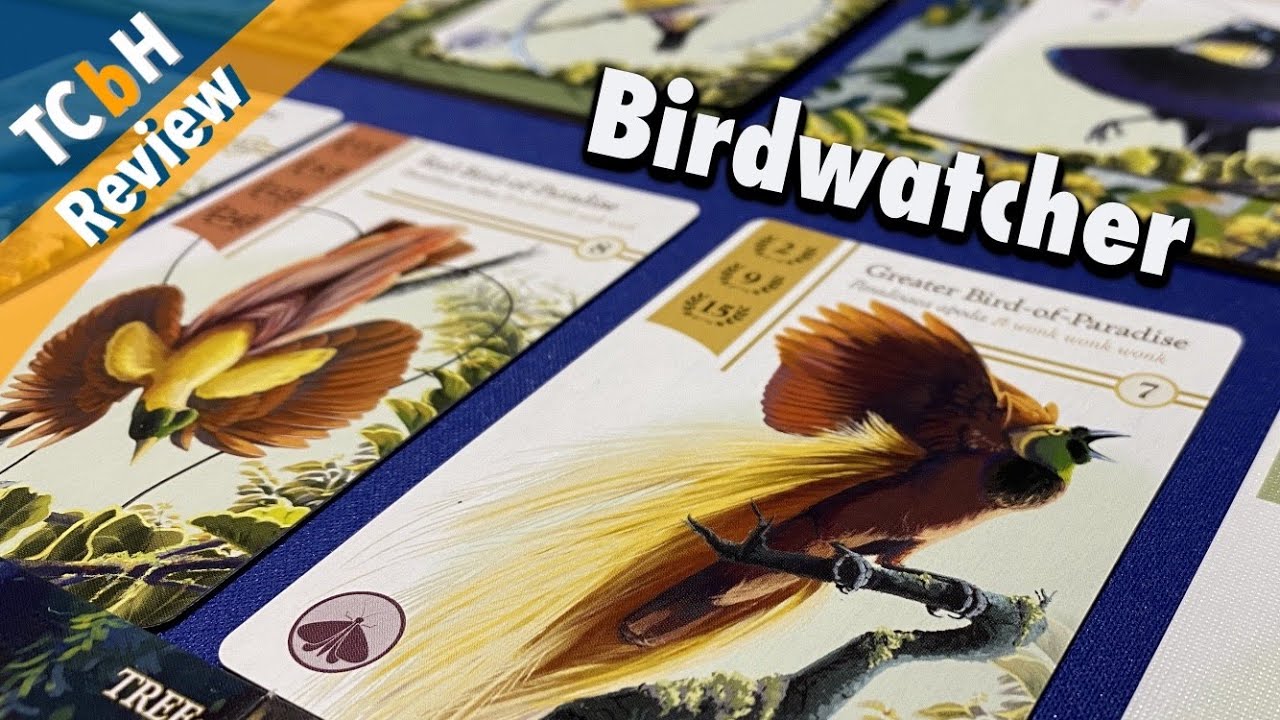 Birdwatcher is a bird game of another feather - TCbH Review - YouTube