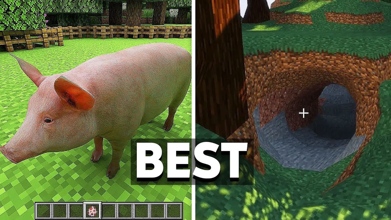 best steveee realistic videos - compilation #5 - YouTube