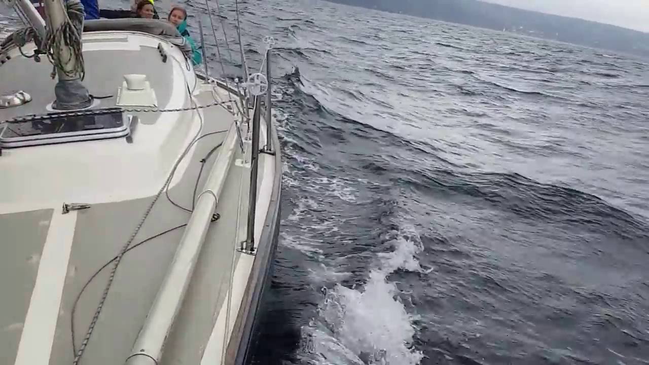 IW31 sailing. Halftonner, 15 knots wind. - YouTube