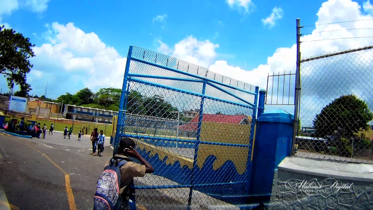 Mandeville Primary and Junior High School | Walinton Mosquera - YouTube