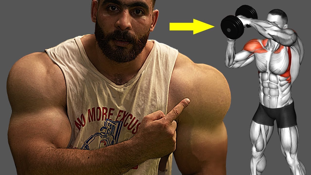 12 Exercises for Huge, Perfect Shoulders - Really perfect video - YouTube
