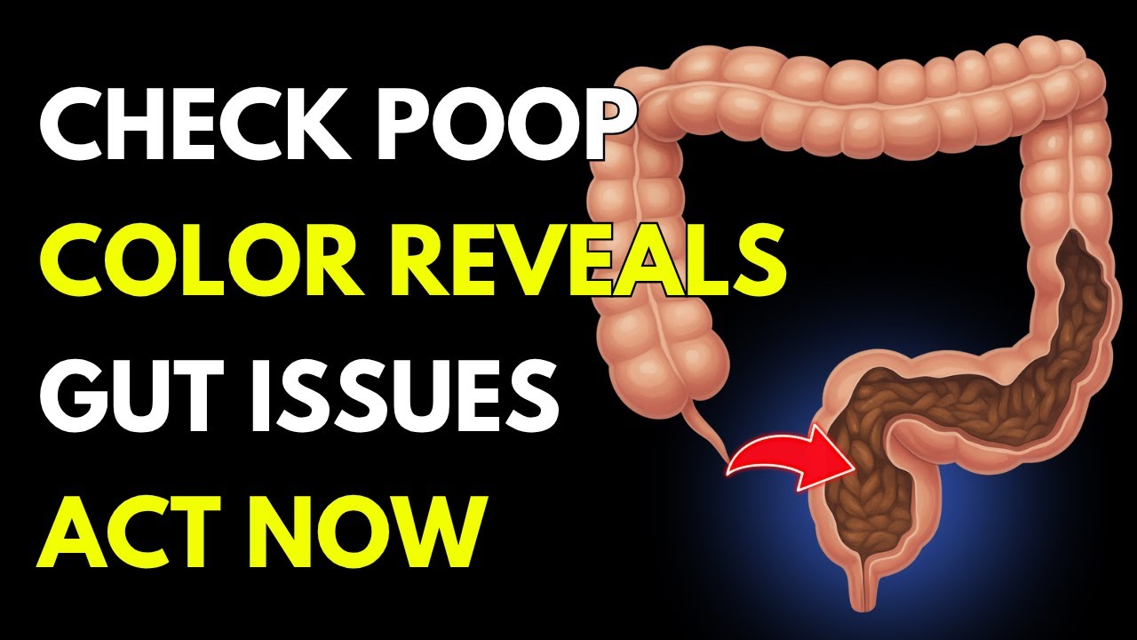 SENIORS: How to Read Your Stool for Gut Health Clues | Senior Wellness ...