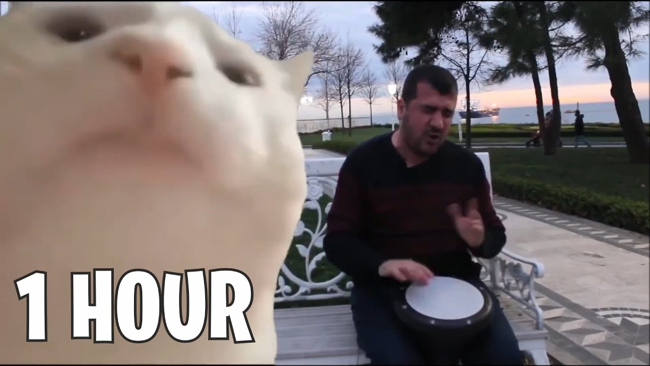 1 HOUR Cat Viving Levan Polka by Bilal Görengen meme 1H - YouTube