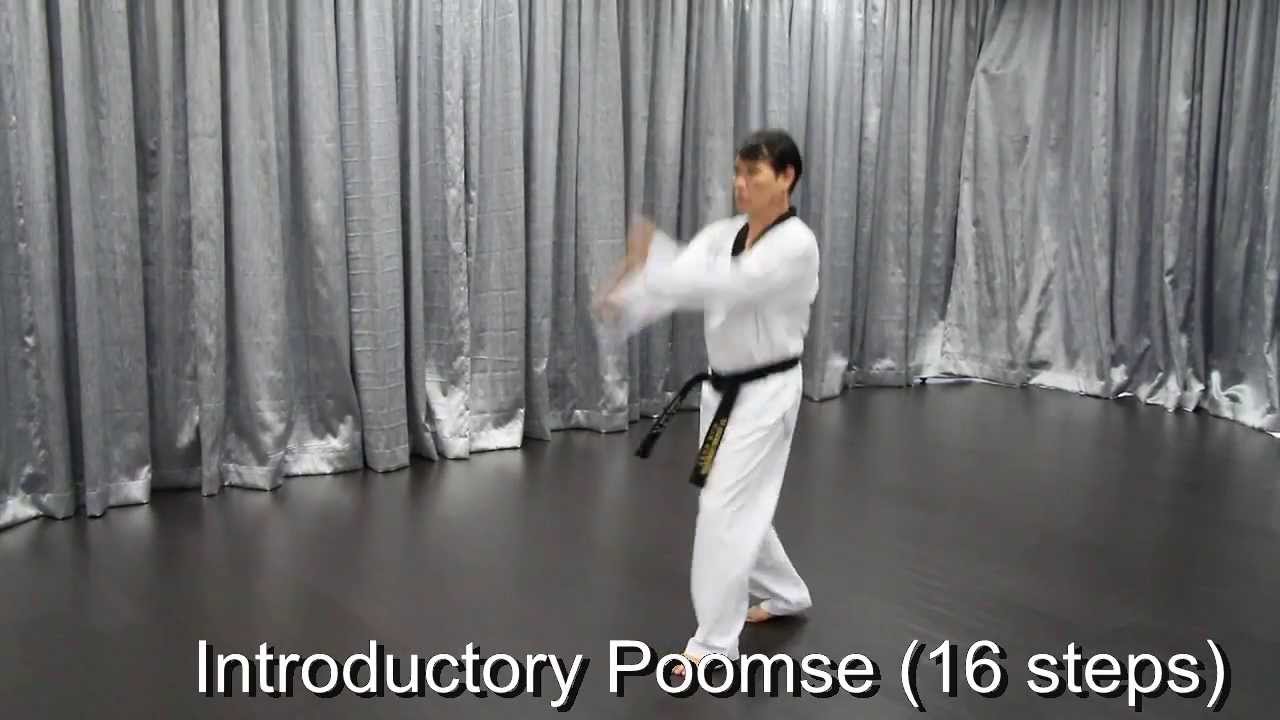 Introductory Poomse (16 steps) - YouTube