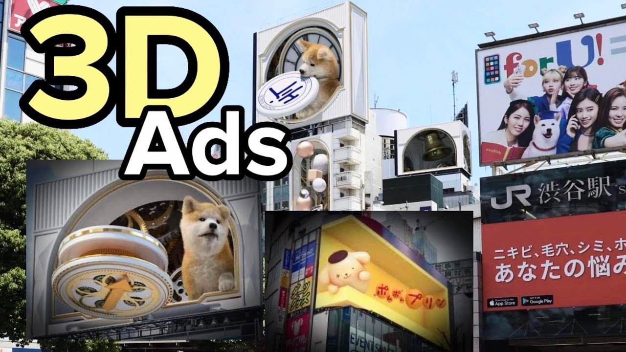 (3D Billboard) Hyper-Realistic 3D Ads Billboard - ShibaInu & Pom Pom ...