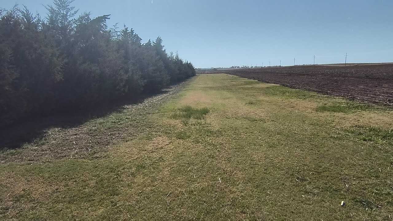 Great start to the new season #mow #lawn #grass #mower - YouTube
