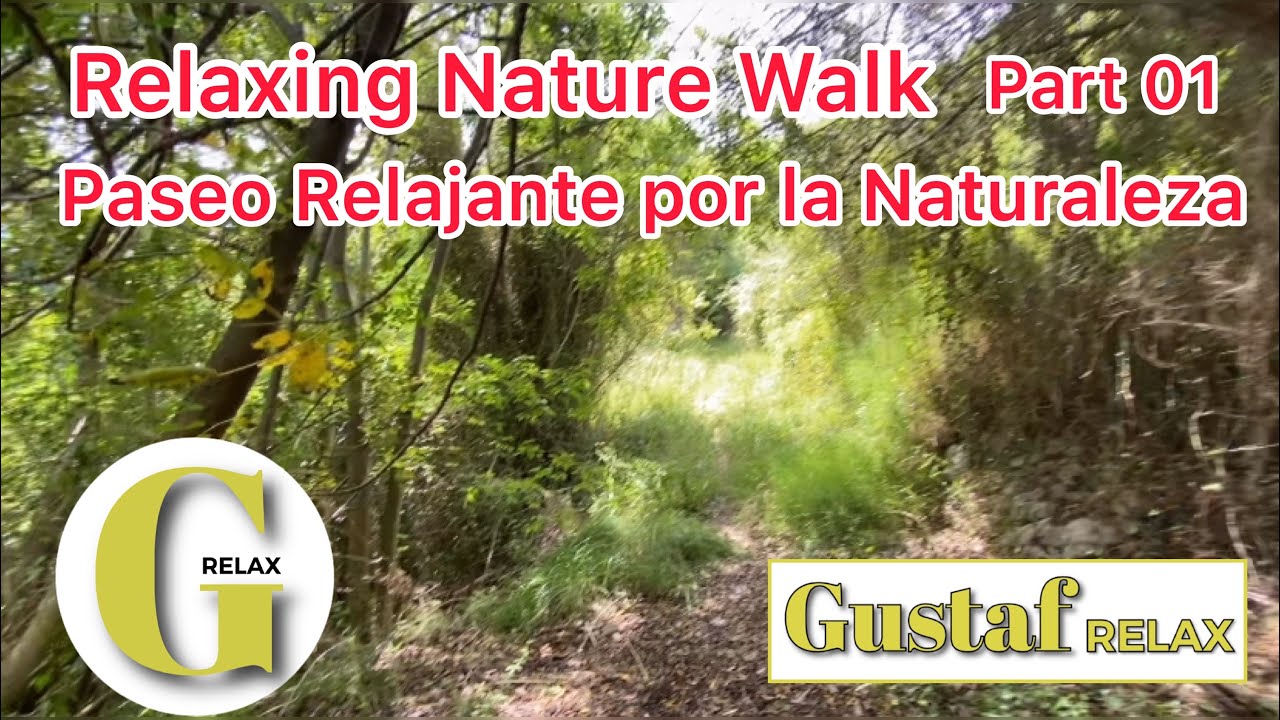 Relaxing Nature Walk. Paseo relajante por la Naturaleza. - YouTube