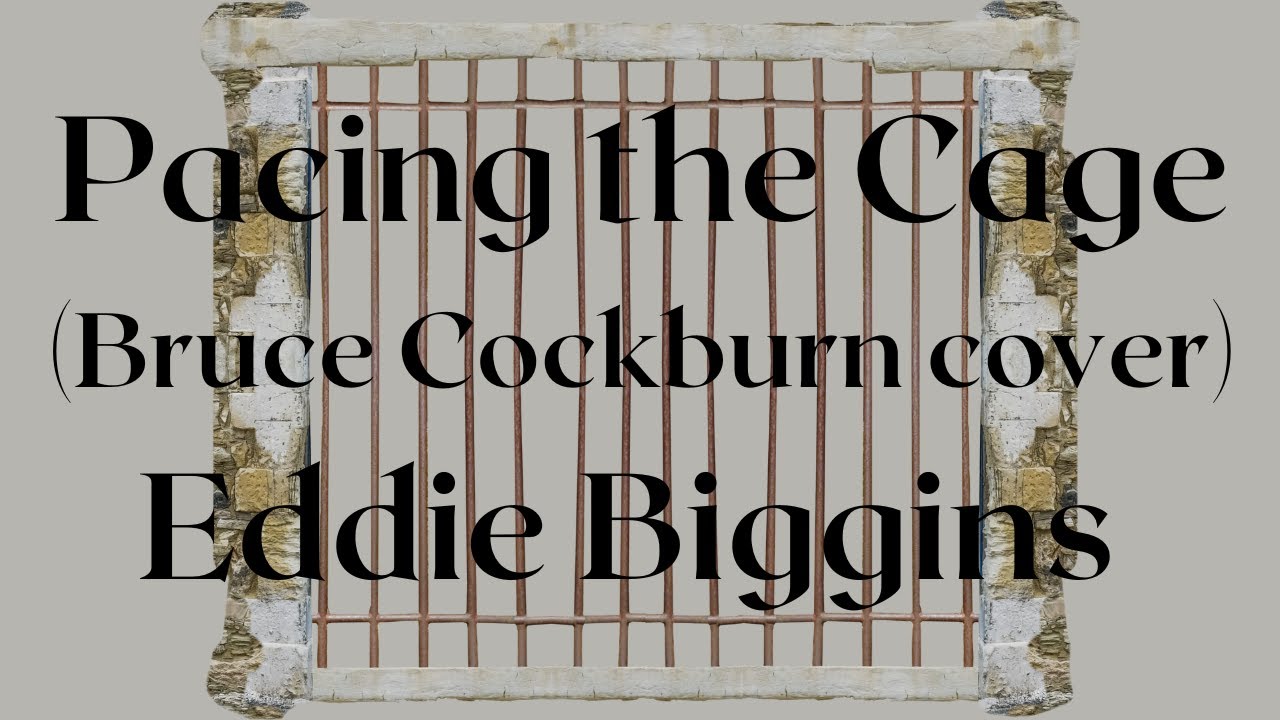 Pacing the Cage (Bruce Cockburn cover) by Eddie Biggins - YouTube