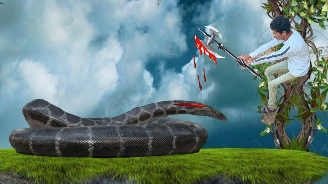 Anaconda Snake Attack In Real Life video viral - YouTube