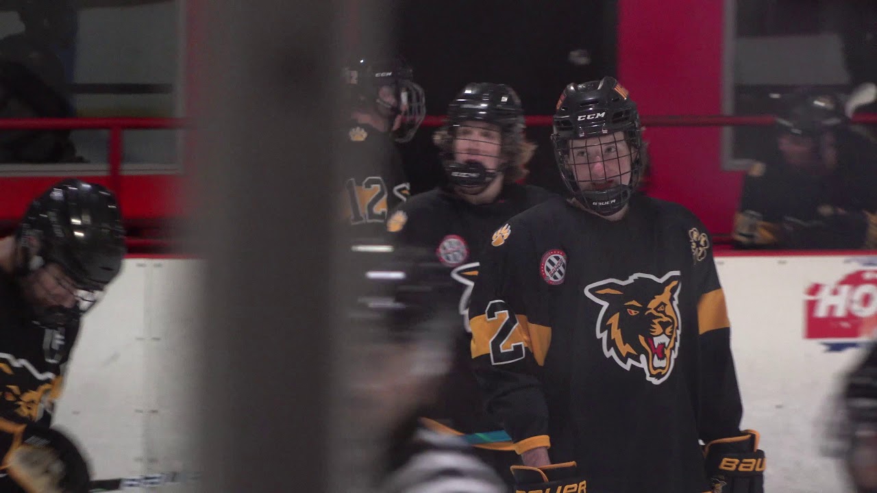 Golden Wolves - Miami Toros, Ice Hockey, U18. 2/9/2021. USA, Florida ...