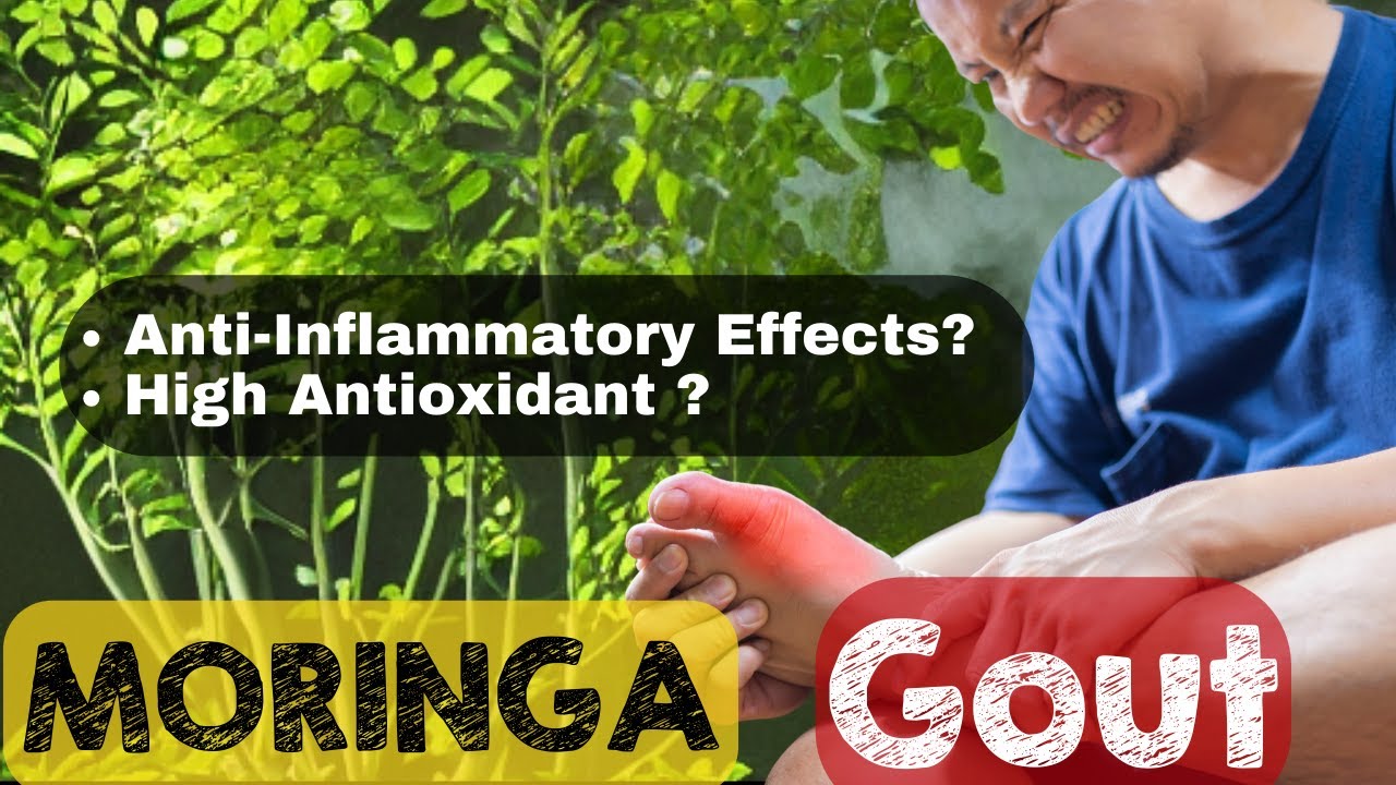 The Surprising Connection Between Moringa and Gout: What You Need to ...
