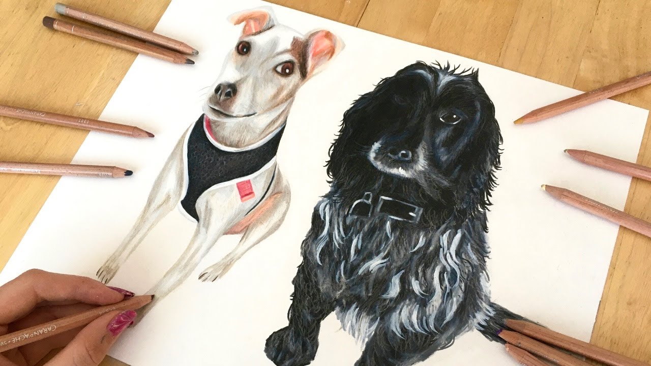 HOW TO DRAW A DOG Realistic Style Drawing For Beginners YouTube how-to-draw-a-dog-realistic-style-drawing-for-beginners-youtube