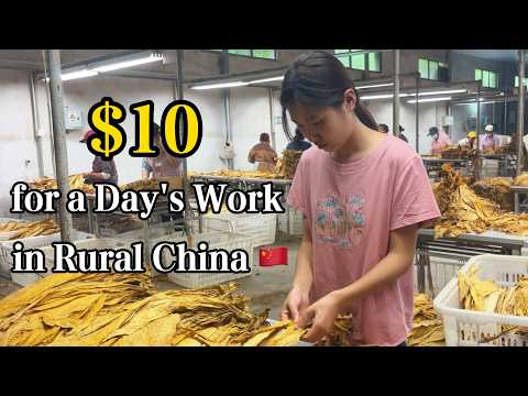 A Rural Chinese 🇨🇳 Girl’s Day Job: I Earn Only 10 Dollars a Day
