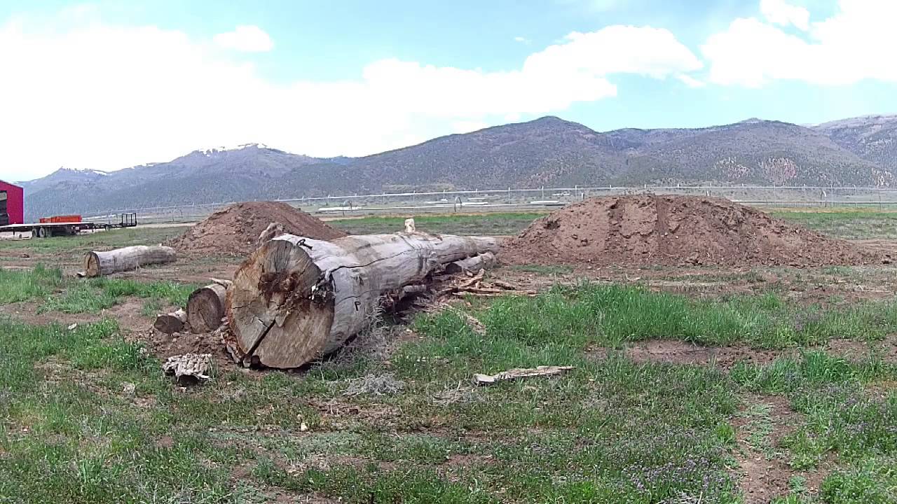 Log Crossing - YouTube