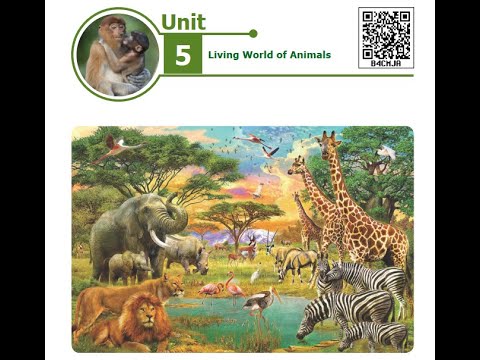 Unit 5 living world of animals part 1 - YouTube