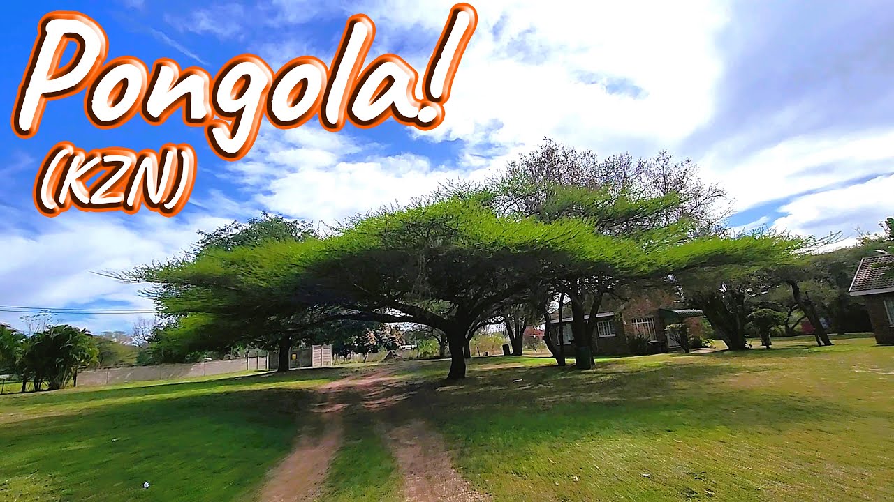 S1 – Ep 378 – Pongola – Treated us to Breathtaking Wildlife Encounters ...