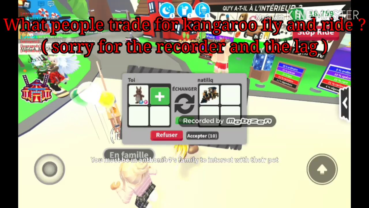 What people trade for a kangaroo fly and ride ? - YouTube