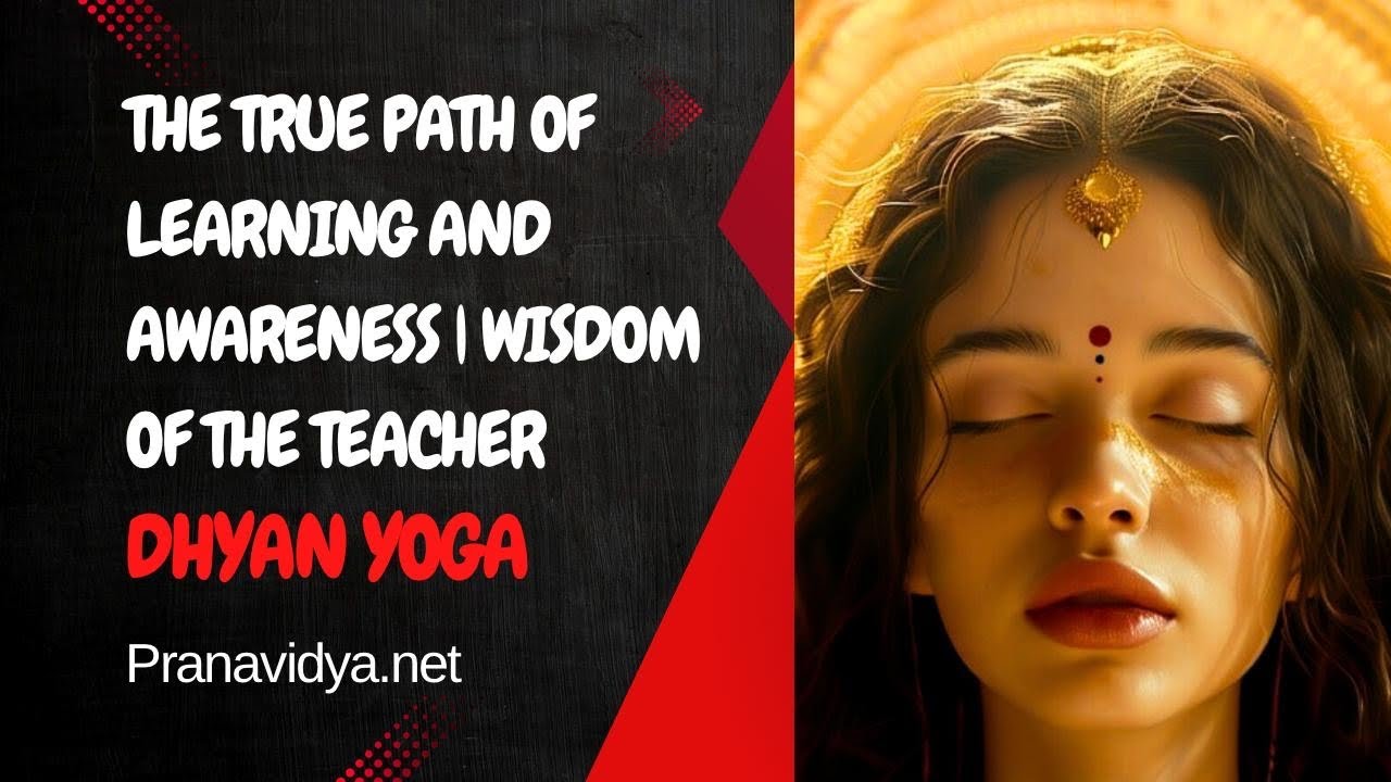 The True Path of Learning and Awareness - YouTube