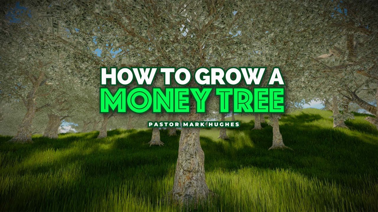 How To Grow A Money Tree - YouTube