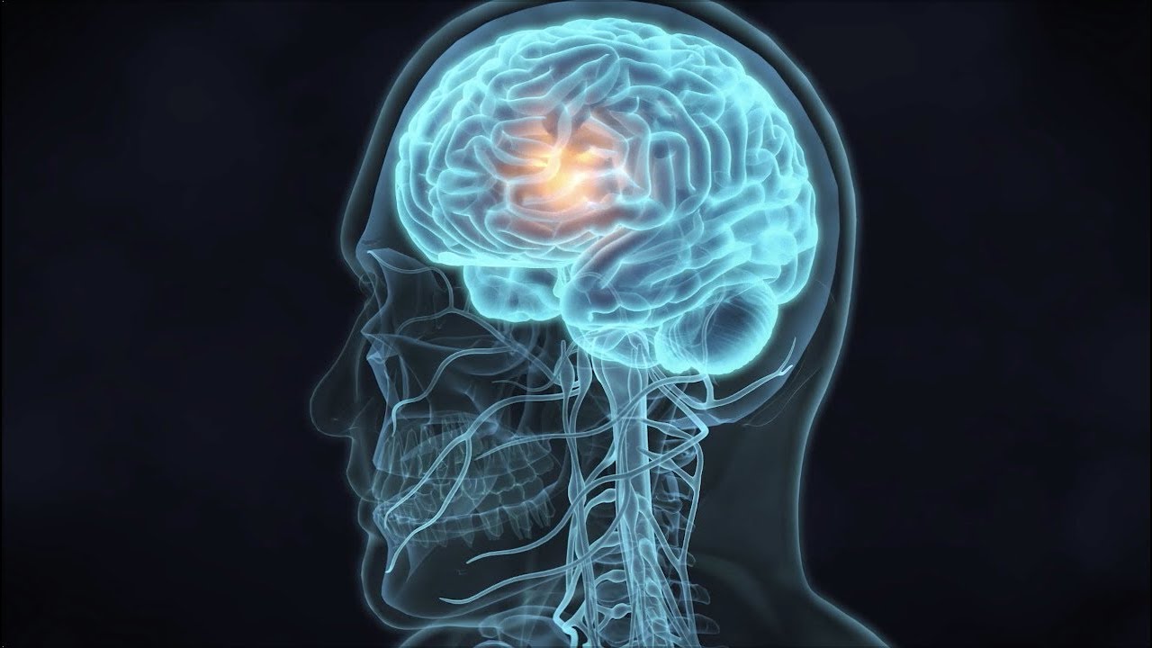 Inside the Mind (Clip 3/7) SCORE: A FILM MUSIC DOCUMENTARY - YouTube