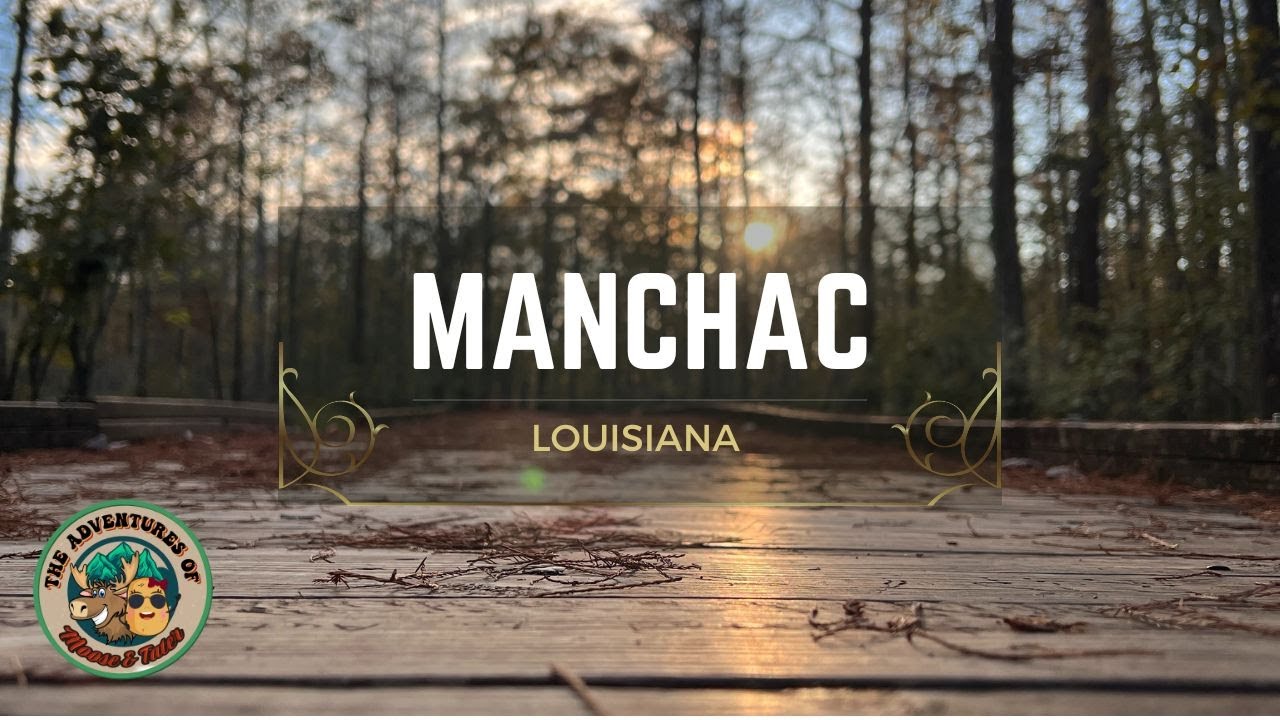 Manchac Swamp at Sunset - YouTube