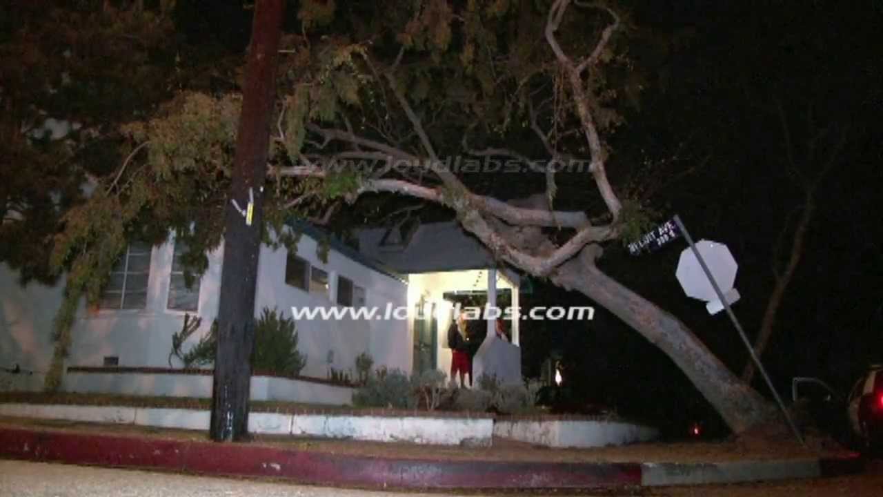 Semi Truck Hits Tree, Tree Hits House, Leaves Scene / West LA RAW ...
