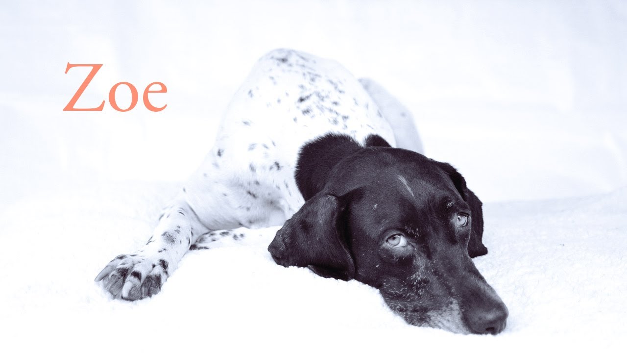 Zoe is Safe! - YouTube