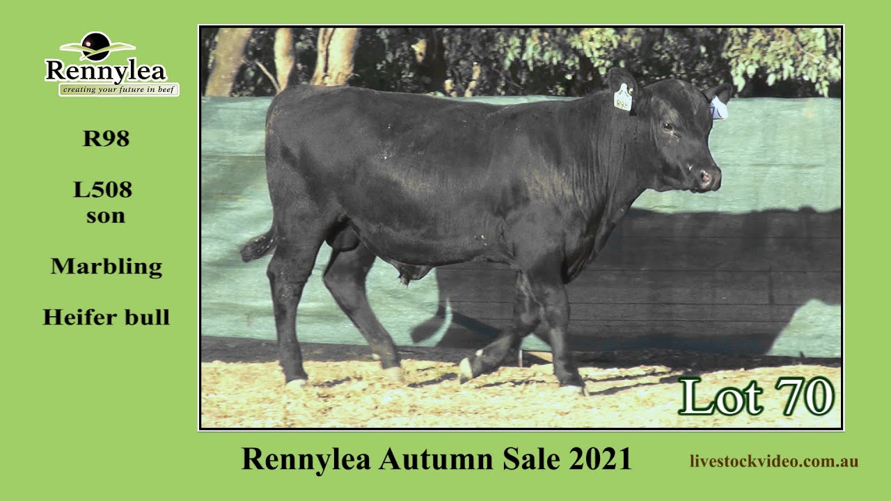 Lot 70 Rennylea Autumn 2021 - YouTube