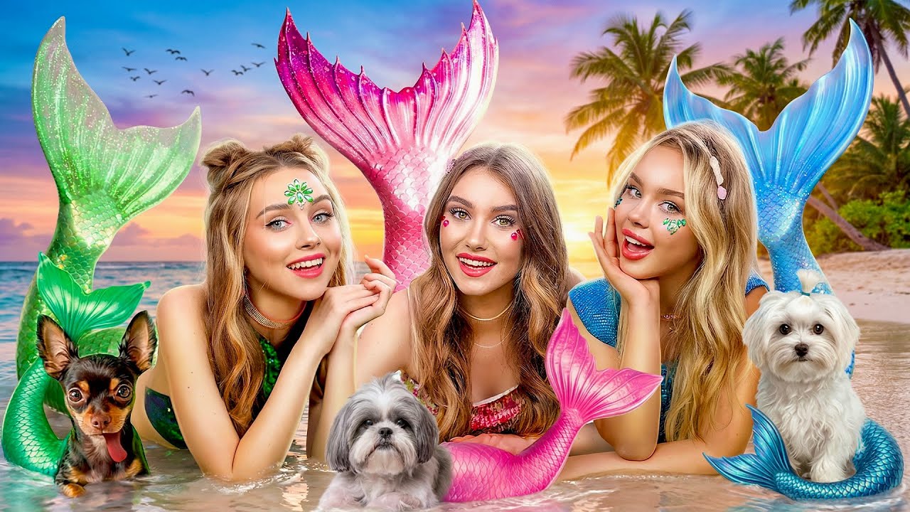 My Dog Became a Mermaid! Mermaid Dogs in Real Life - YouTube