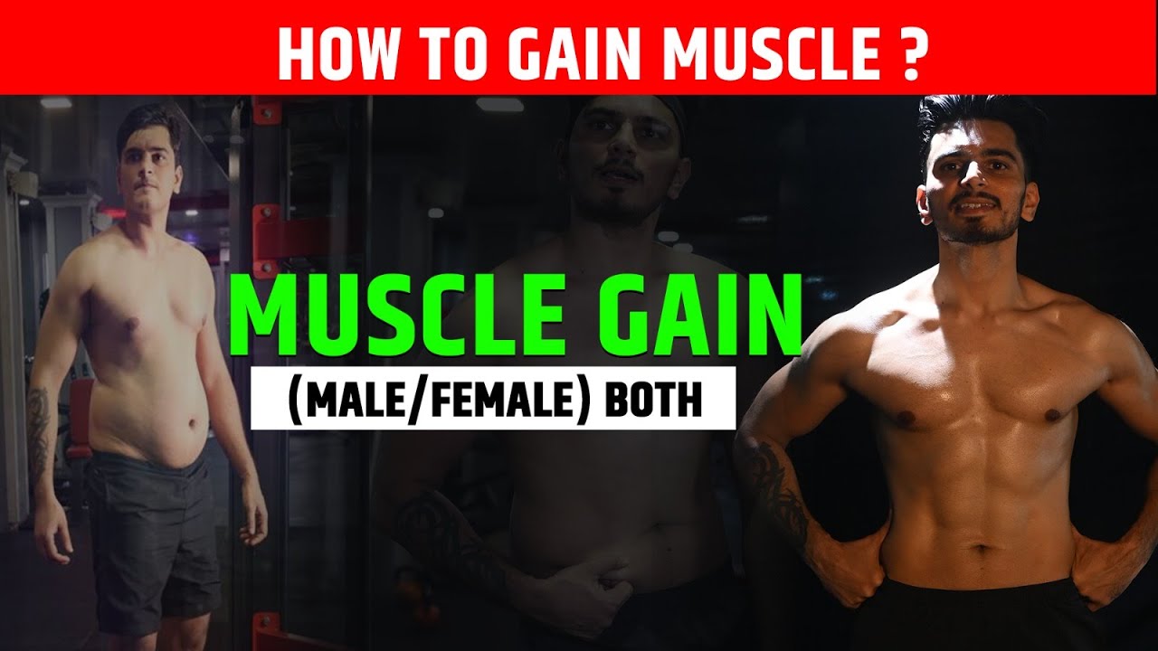Ultimate Guide to Muscle Gain Without Fat Gain | Fitness Tips by Luv ...