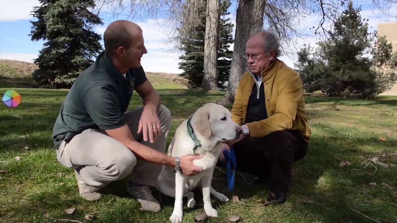 Putting Paws on the Right Path: CSU's Small Animal Sports Medicine and ...
